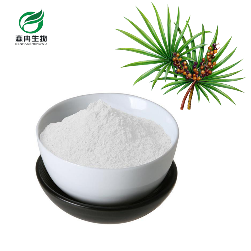 STANDARDIZED PLANT EXTRACT - Xi'an SR Bio-Engineering Co.,Ltd