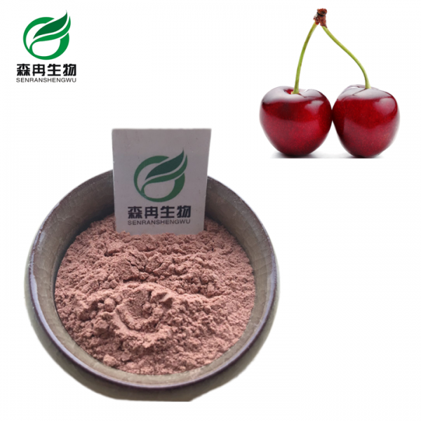 Professional supplier for Acerola Cherry Powder | Xi'an SR BIO