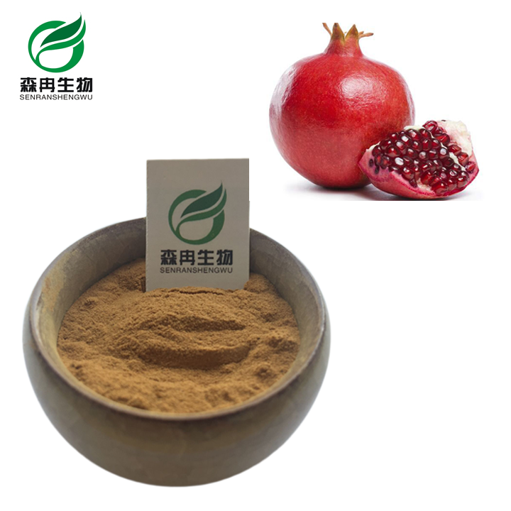Ellagic Acid Supplier | Xi'an SR Bio-Engineering Co. Ltd