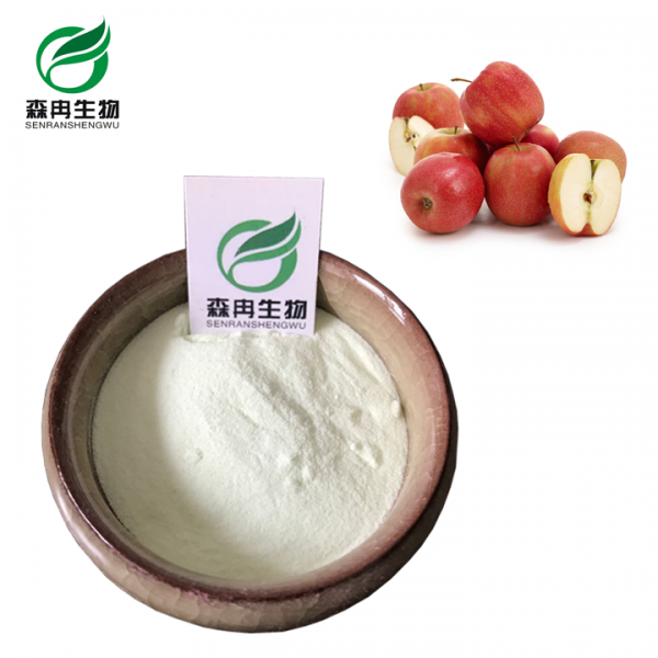 Powdered Apples | Apple Powder Bulk | Xi'an SR BIO