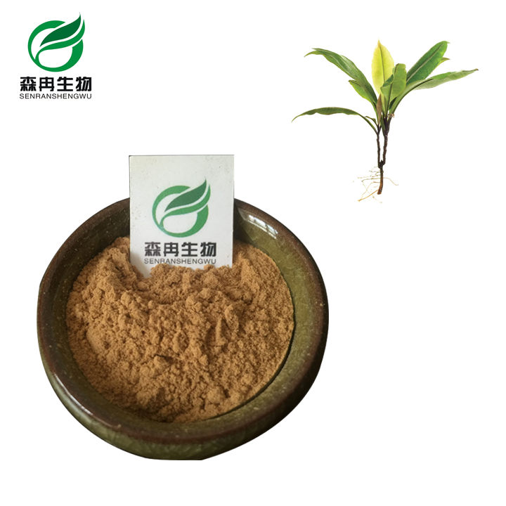 Kacip Fatimah Extract Powder Supplier | Xi'an SR Bio-Engineering Co. Ltd