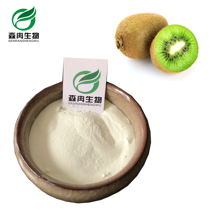 Kiwi Powder | SRBio Wholesale Ingredients