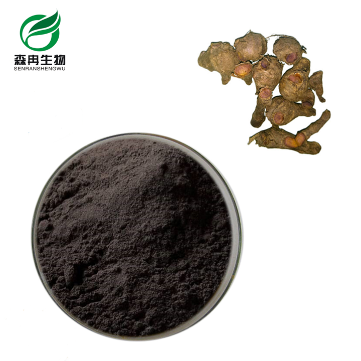 Black Ginger Extract Powder Supplier | Xi'an SR Bio-Engineering Co. Ltd