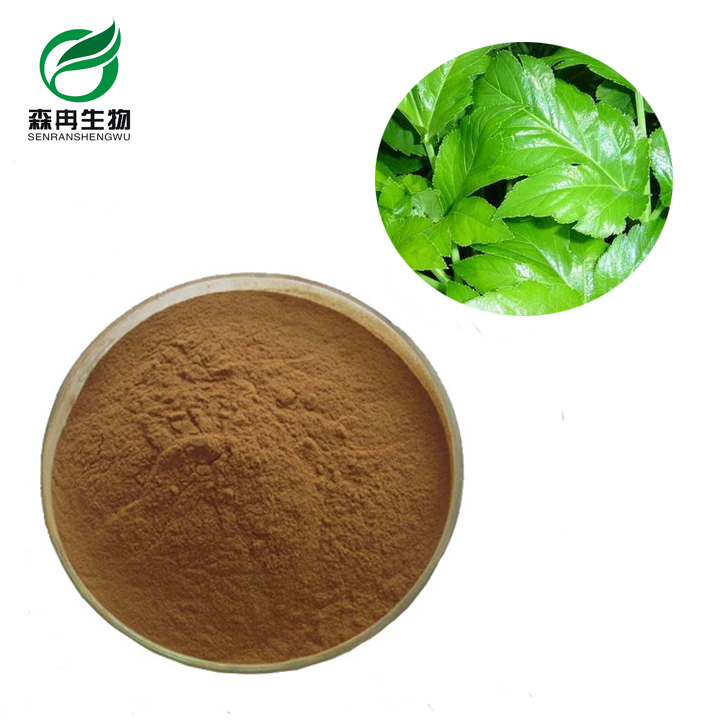 Ashitaba Extract - Xi'an SR Bio-Engineering Co.,Ltd