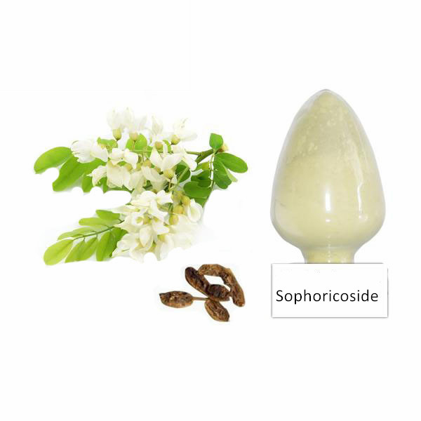Sophoricoside - Xi'an SR Bio-Engineering Co.,Ltd