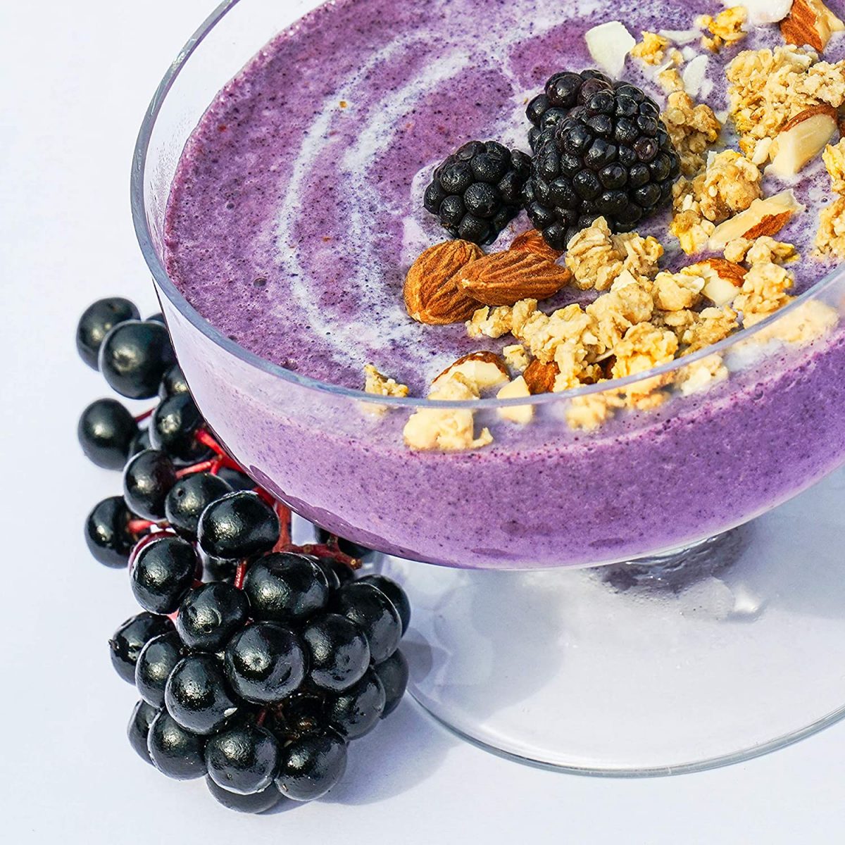 Maqui Berry Powder Supplier | Xi'an SR Bio-Engineering Co. Ltd