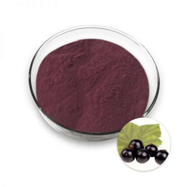 Maqui Berry Powder Supplier | Xi'an SR Bio-Engineering Co. Ltd