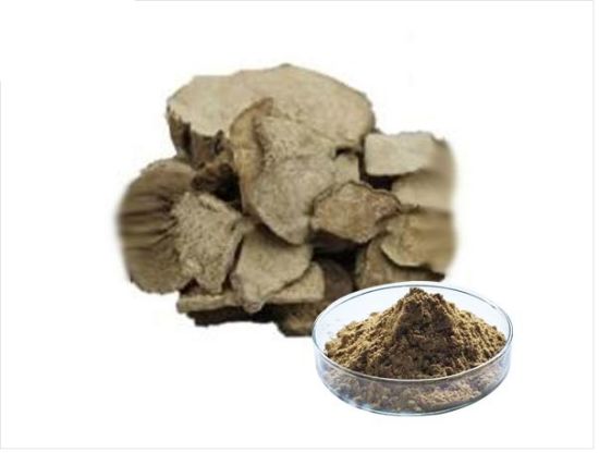 Stephania Japonica Extract - Xi'an SR Bio-Engineering Co.,Ltd